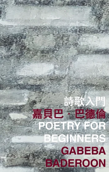 Poetry for Beginners | Columbia University Press